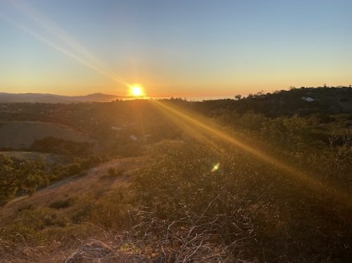 What is Values-Rich Living? - Dr. Diana Hill | Embrace ACT