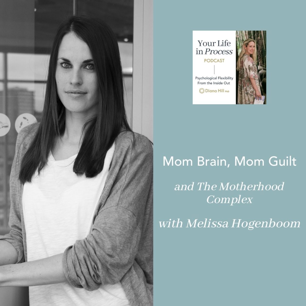 Mom Brain, Mom Guilt, and The Motherhood Complex with Melissa Hogenboom ...