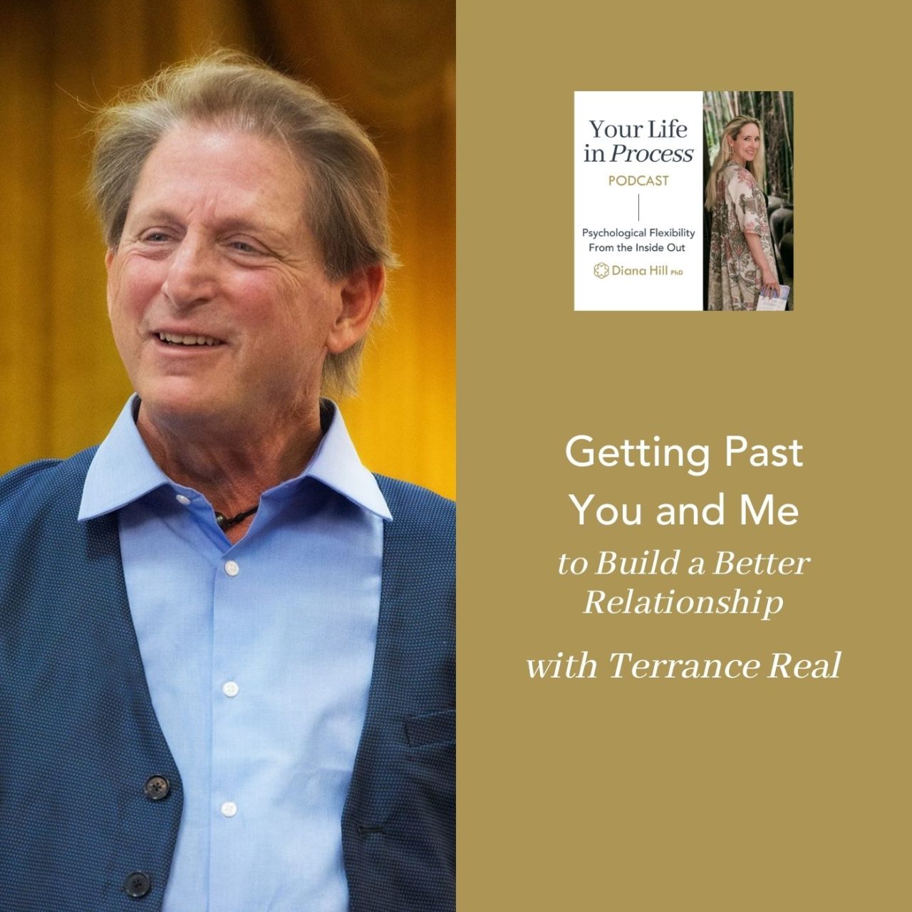Getting Past You and Me to Build a Better Relationship with Terry Real ...