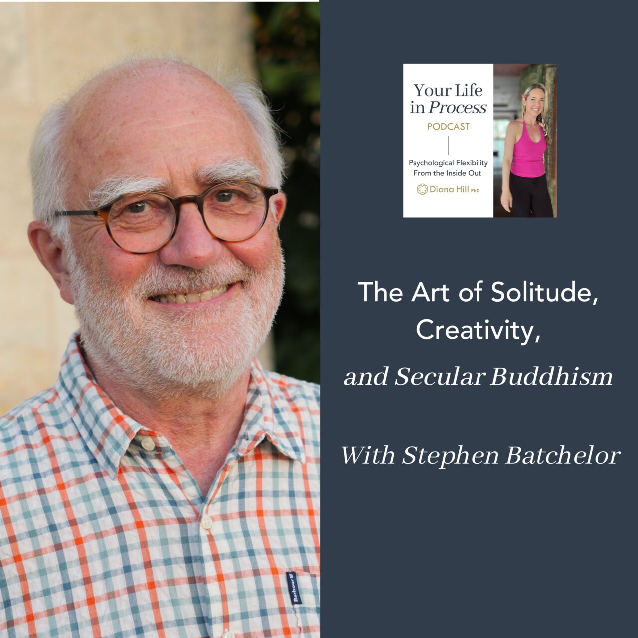 The Art of Solitude, Creativity, and Secular Buddhism With Stephen ...