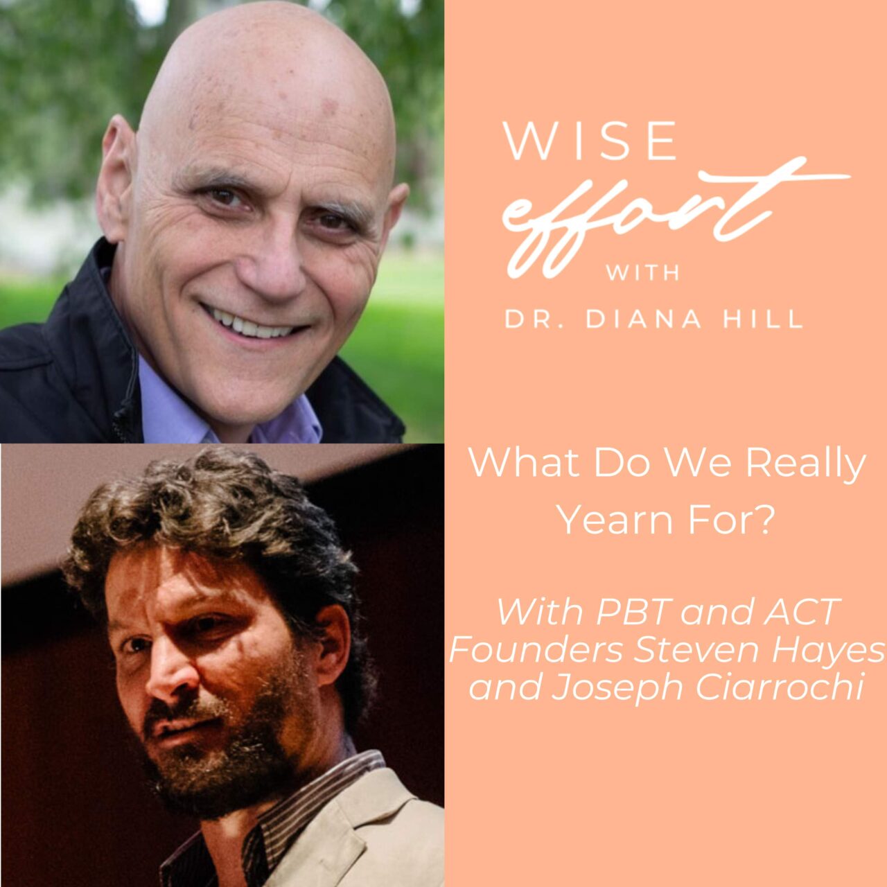 What Do We Really Yearn For With PBT and ACT Founders Steven Hayes and ...