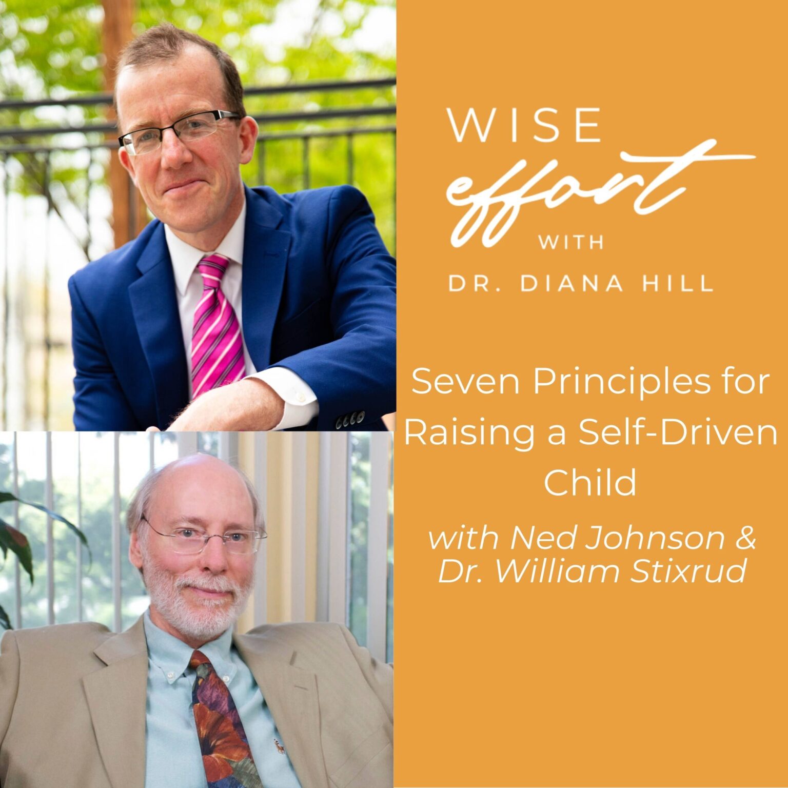 Seven Principles for Raising a Self-Driven Child with Ned Johnson & Dr ...